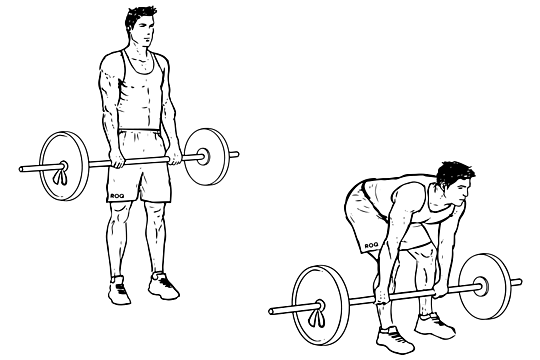 A BIOMECÂNICA DO EXERCÍCIO STIFF PARA TREINO DE PERNAS