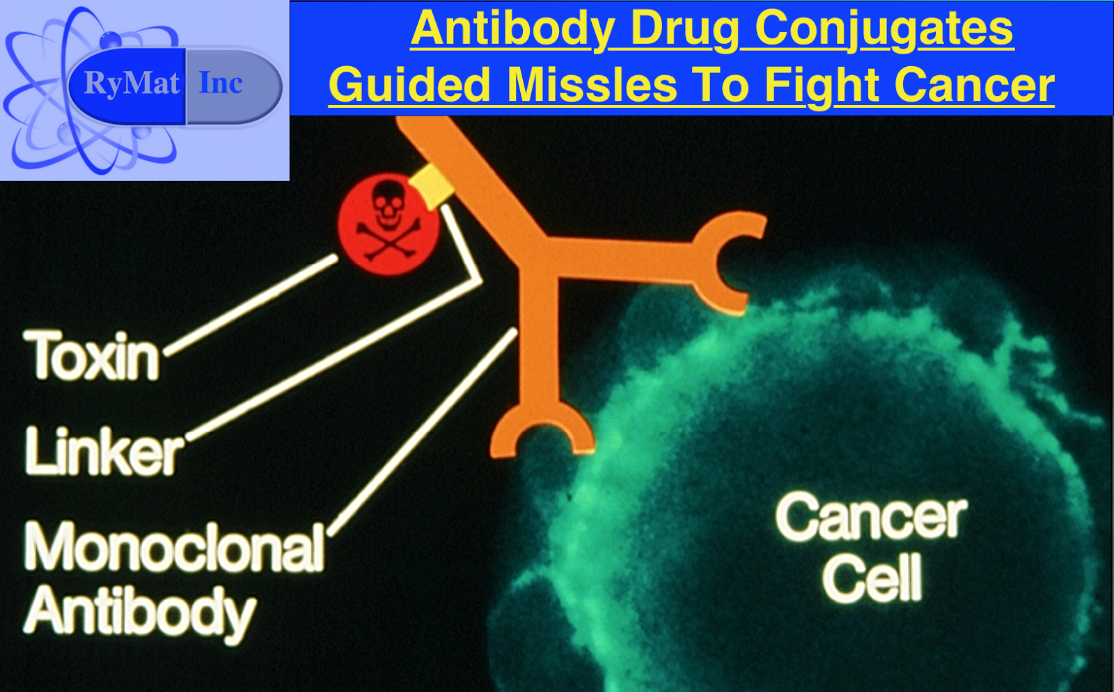 RyMat Inc. Pharmaceutical Industry Insights: Antibody-Drug Conjugates ...