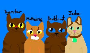 Everything you need to know about Warrior cats.: Sasha, Tigerstar and ...