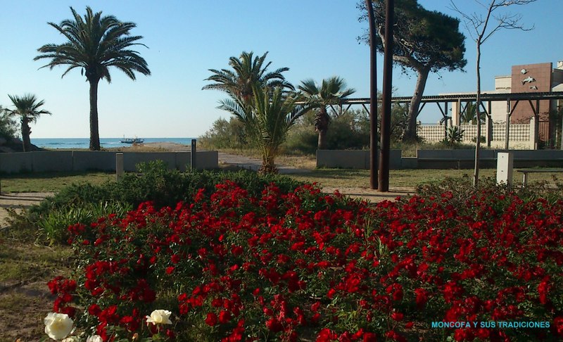 MONCOFA Y SUS TRADICIONES: Vistas de la plaza de la "O", en la Playa de ...