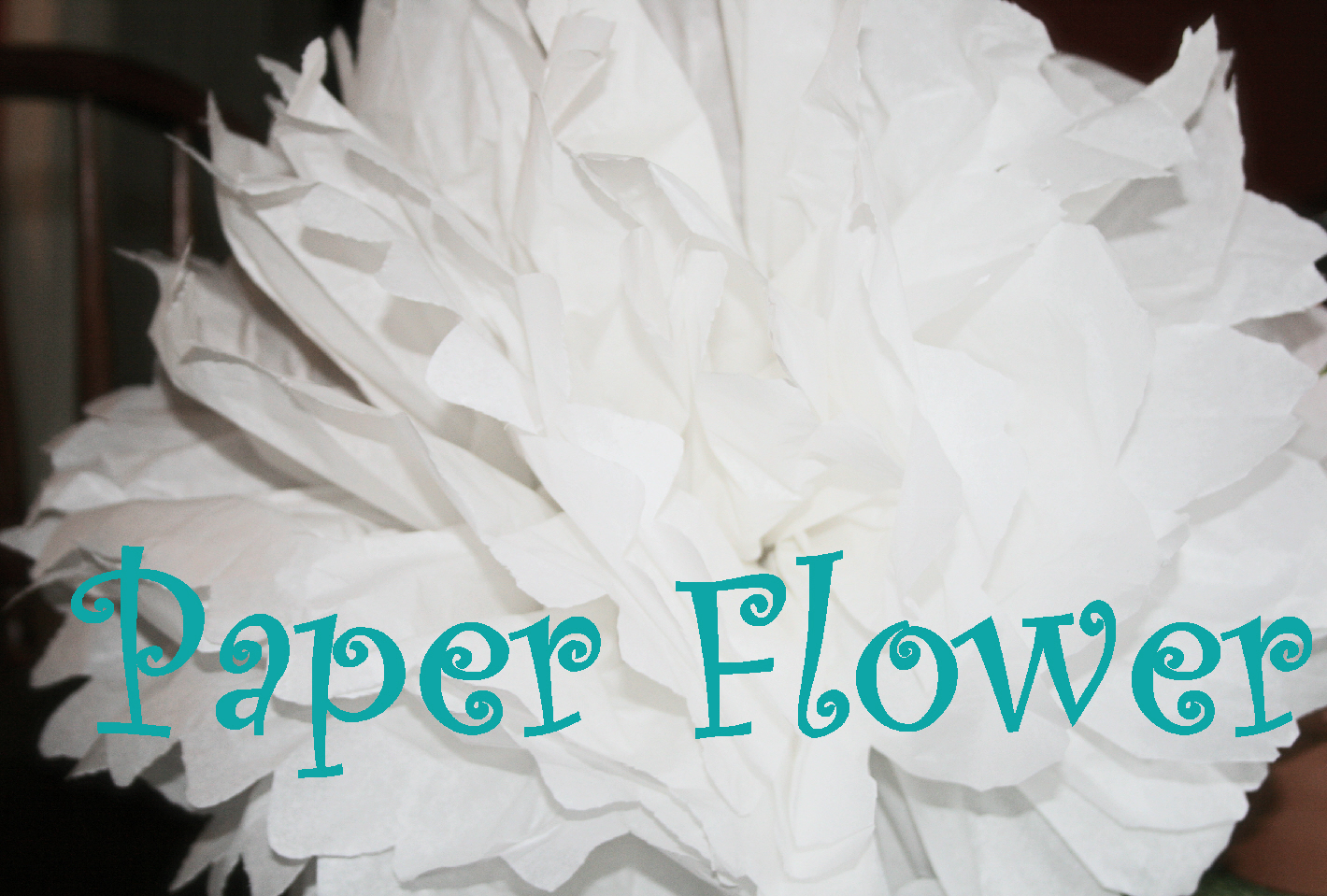 Little Green Peacock: 7/3/11 - 7/10/11