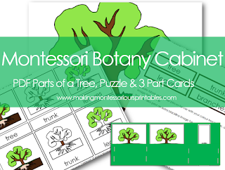 NEW!! Montessori Botany PDF Materials are Available!! - "Making ...