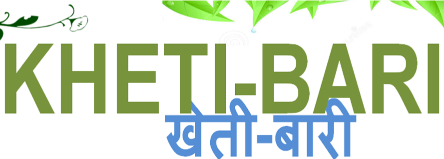 KHETI BARI: Food Processing: The Sunrise sector in Bihar