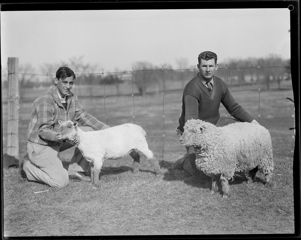 34 Fantastic Photos Capture Farm and Domestic Life of Boston from ...
