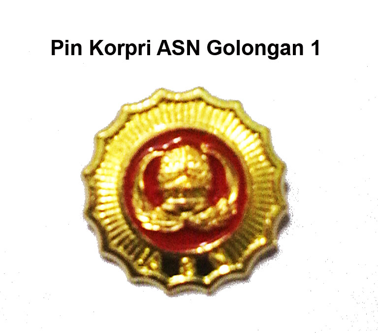 Pin Korpri ASN: pin korpri asn berdasarkan golongan