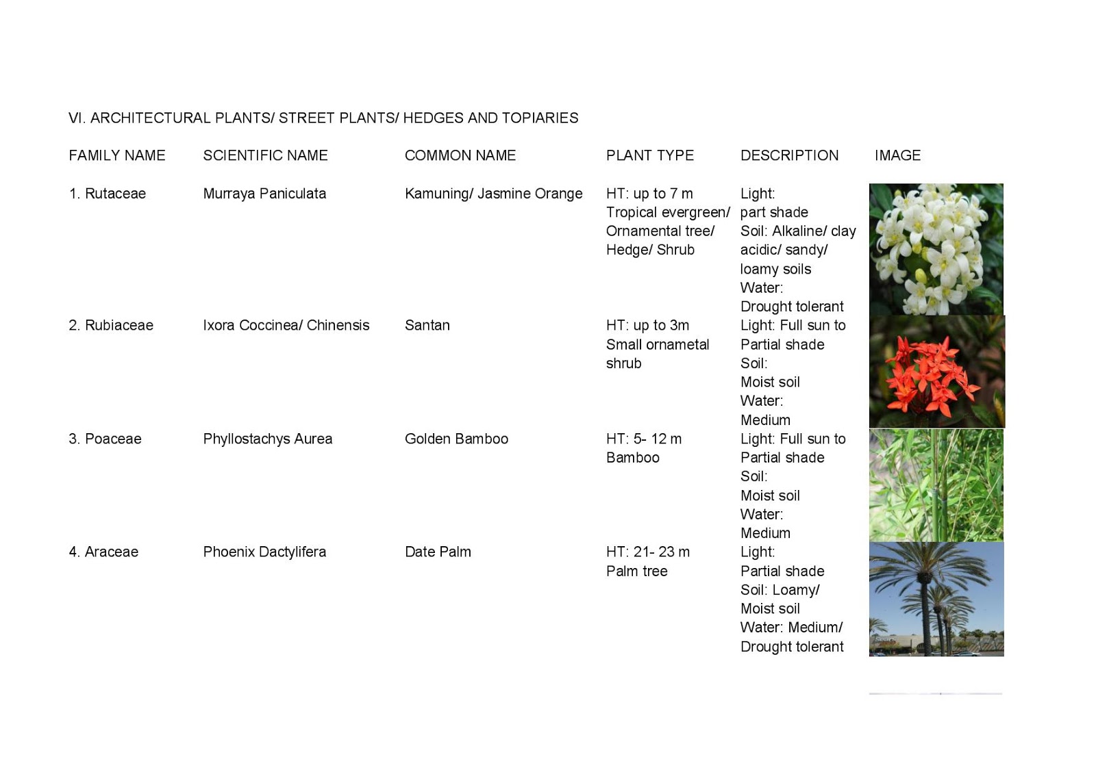 Softscape Materials: Plant List 1