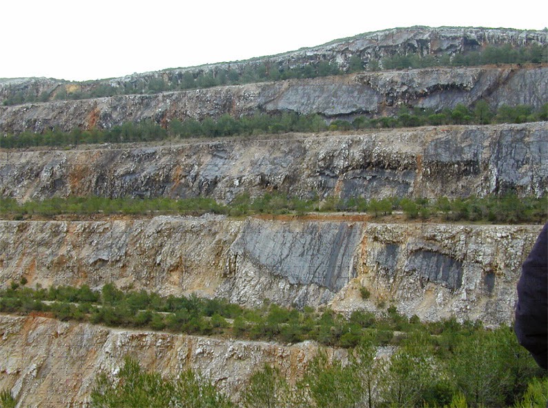 Geo - Conceição : RELEVO DO BRASIL