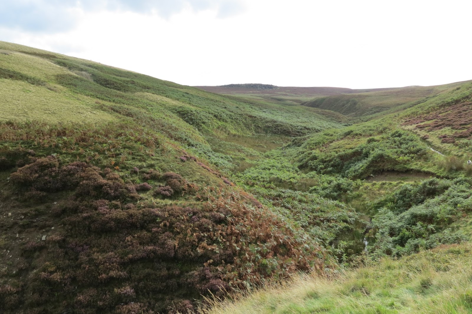 Howden Moors - Howden Dean, Back Tor and Lost Lad ~ Occasionally Lost