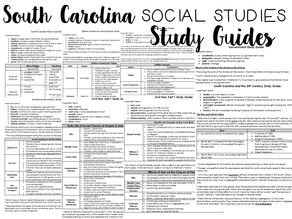Ginger Snaps: SC Social Studies Study Guides