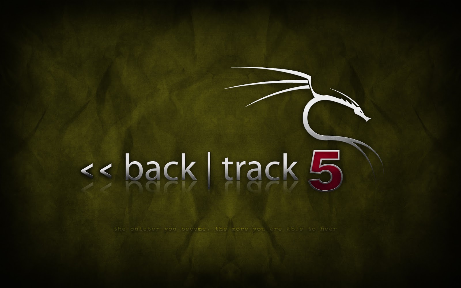 Backtrack: Backtrack 5