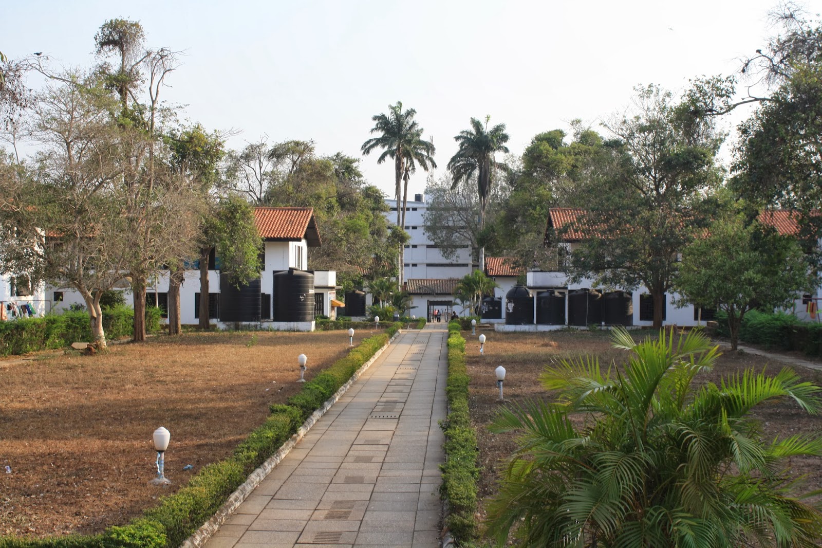 Life Of An African Immigrant: Have you ever wondered how a university ...