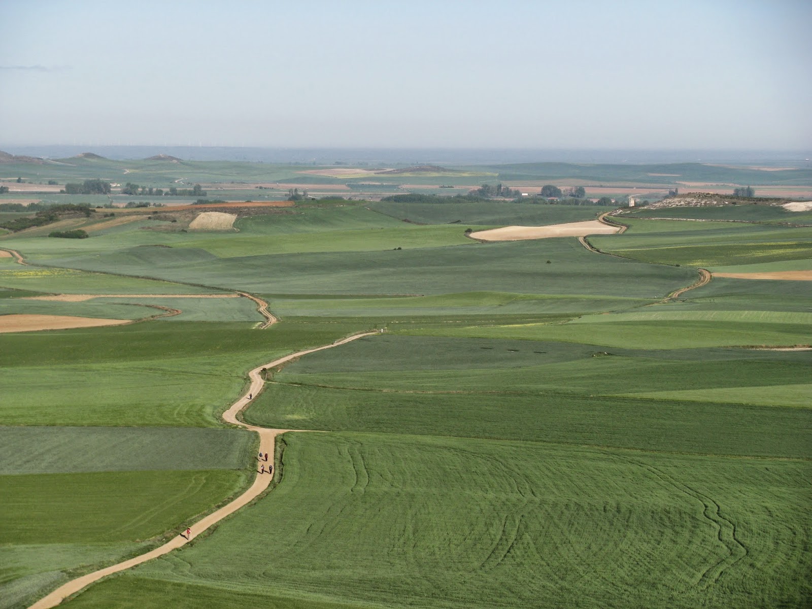 Dancing Down the Camino: The Meseta