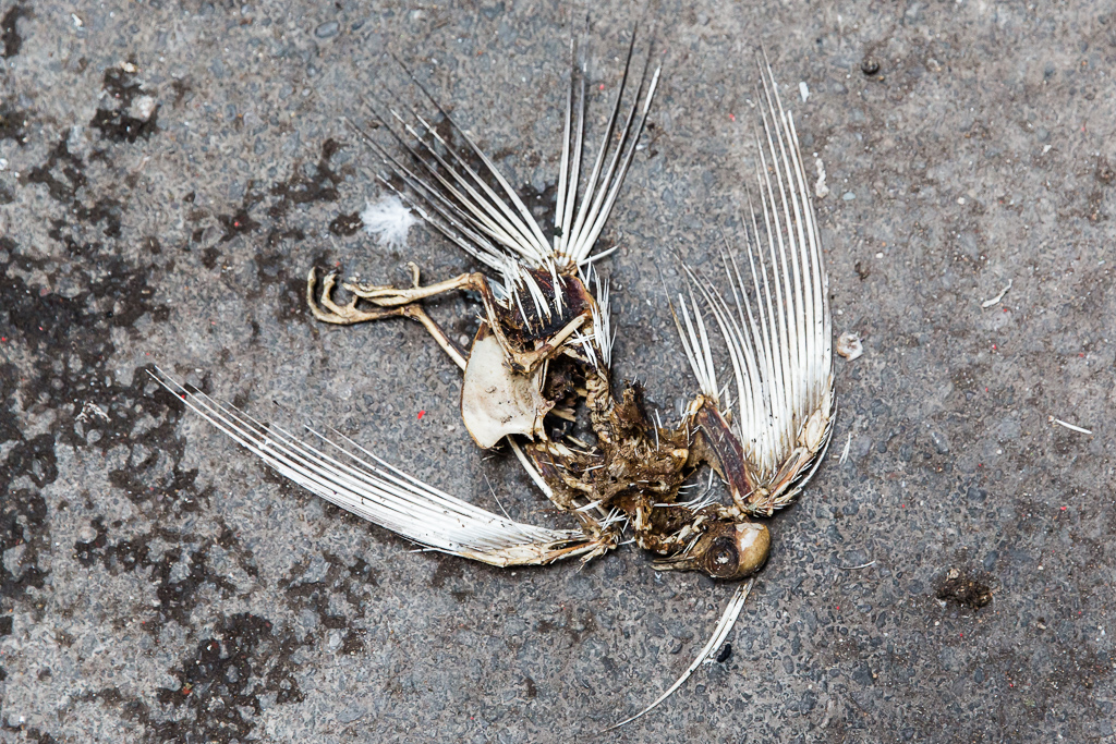 Kreativquartier, Jutier- und Tonnenhalle