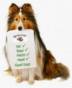 Funny Pictures Is dog insurance worth it? | Memes 2019 | Memes Funny