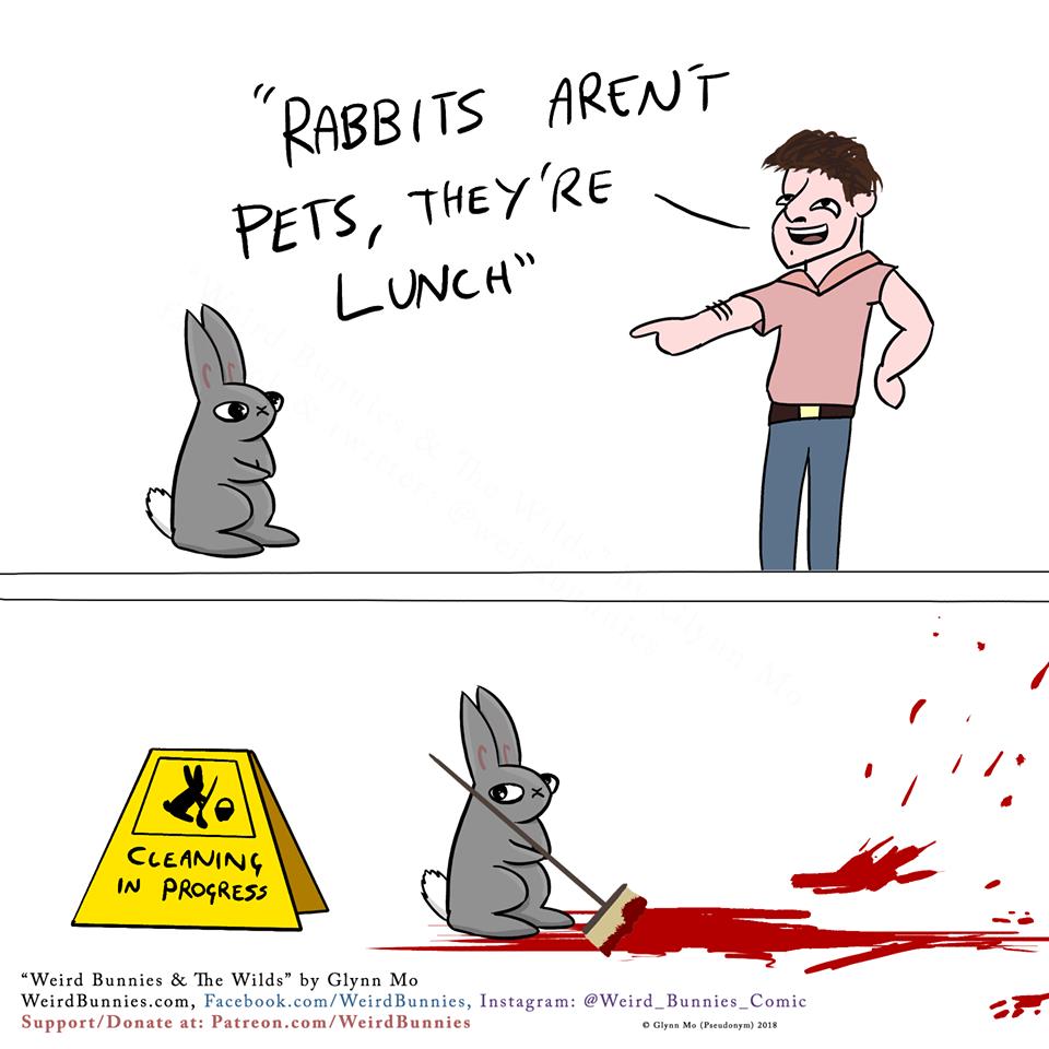 Rabbit Ramblings: Funny Bunny Memes