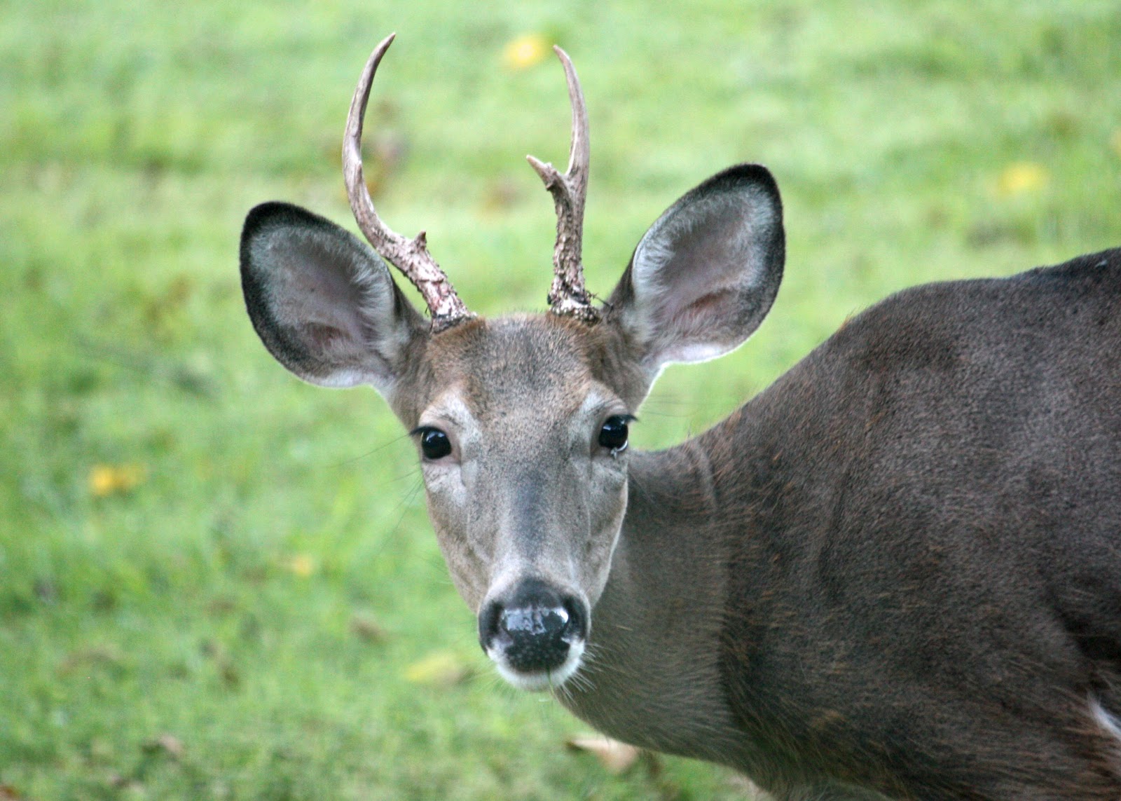 Round The Bend: Rural Happenings at Round The Bend