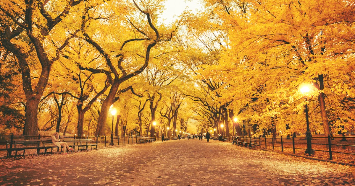 La Nieve Feliz OtoÑo