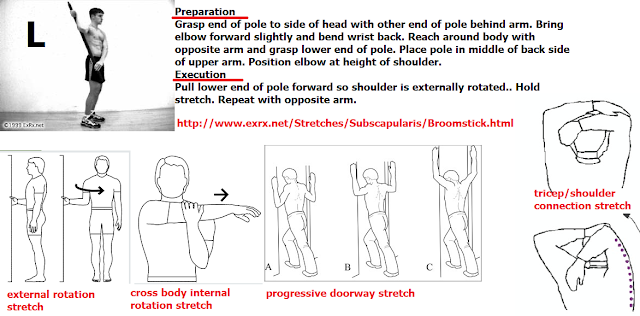 YWLT is the shoulder workout that you really need