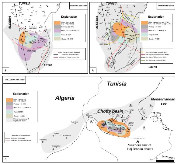 Mohamed Soua: Paleozoic oil/gas shale reservoirs in southern Tunisia ... Mohamed Soua: Paleozoic oil/gas shale reservoirs in southern Tunisia ...