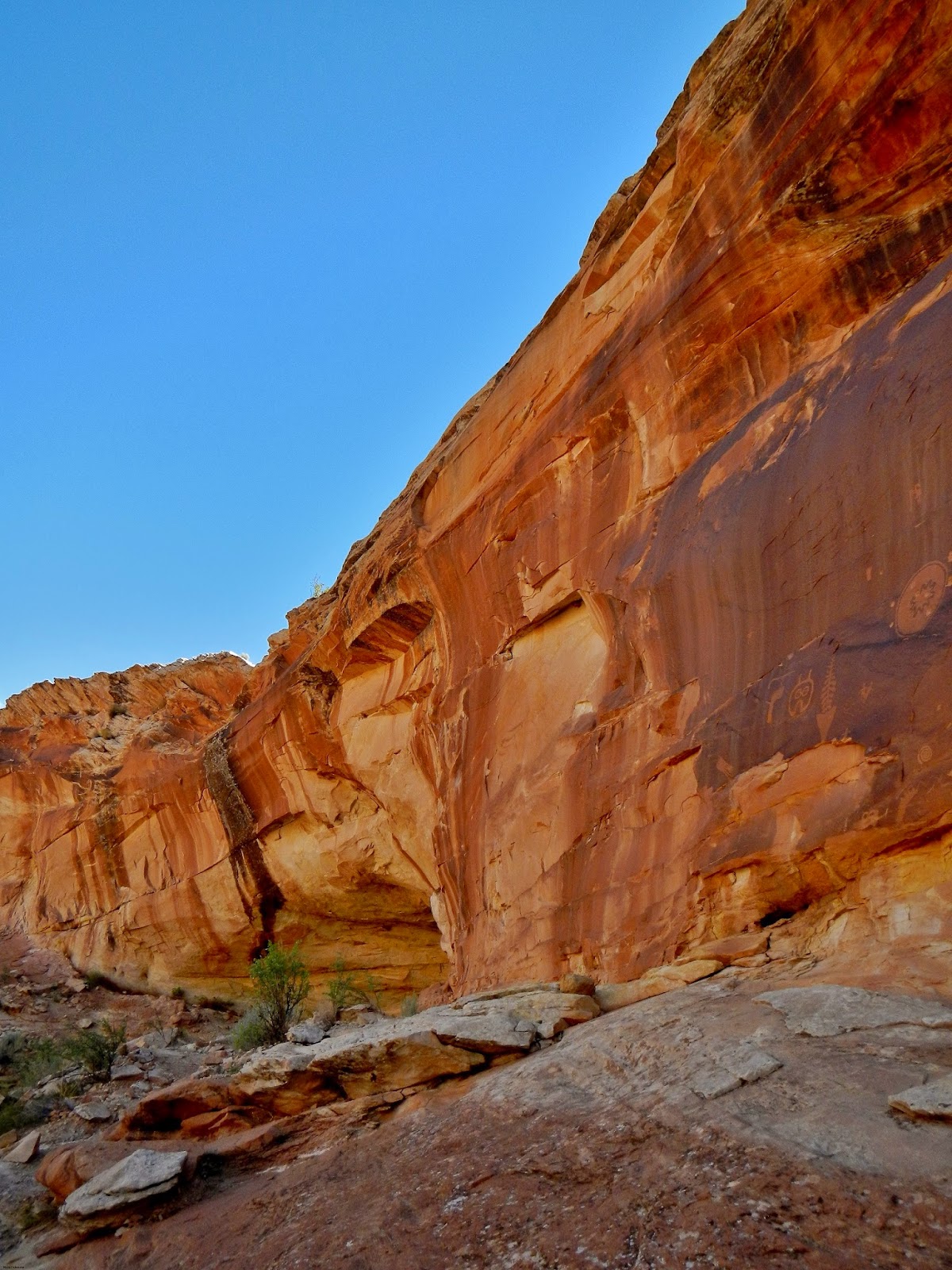 The Southwest Through Wide Brown Eyes: Wolfman Panel and Ruins - Comb ...