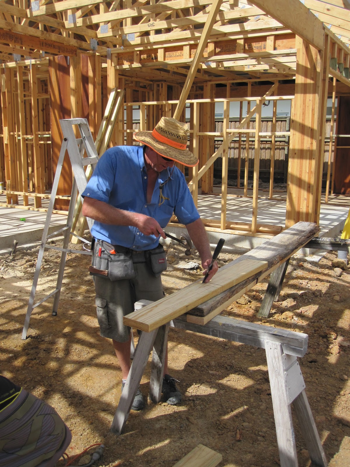 Going Coastal: Noggin & Roof ready