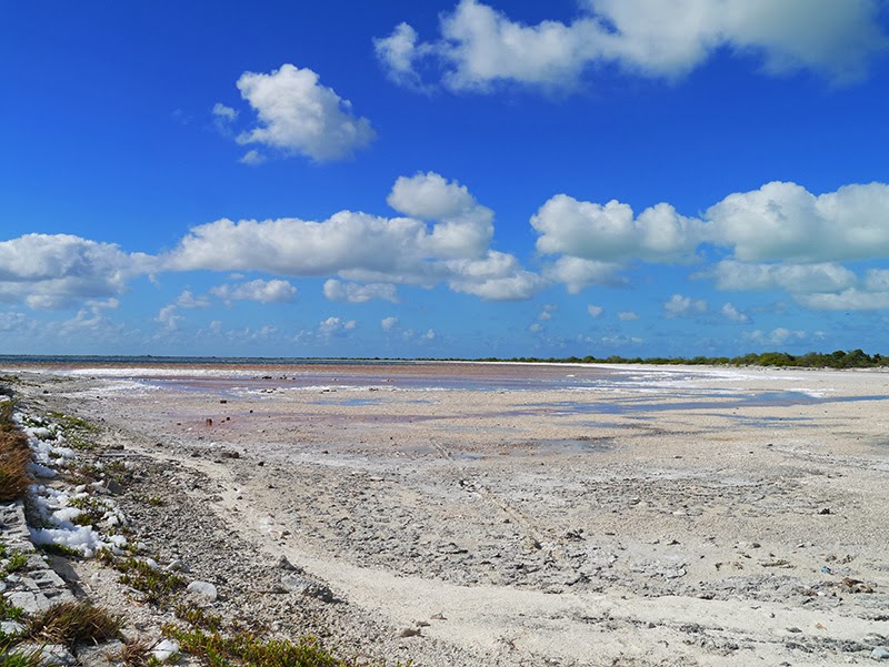 The Adventures of S/V Silhouette: A Snapshot of Life on Kiritimati ...