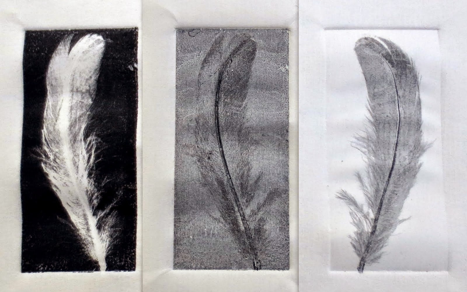 ALLtäglich: Federn mit Federn drucken