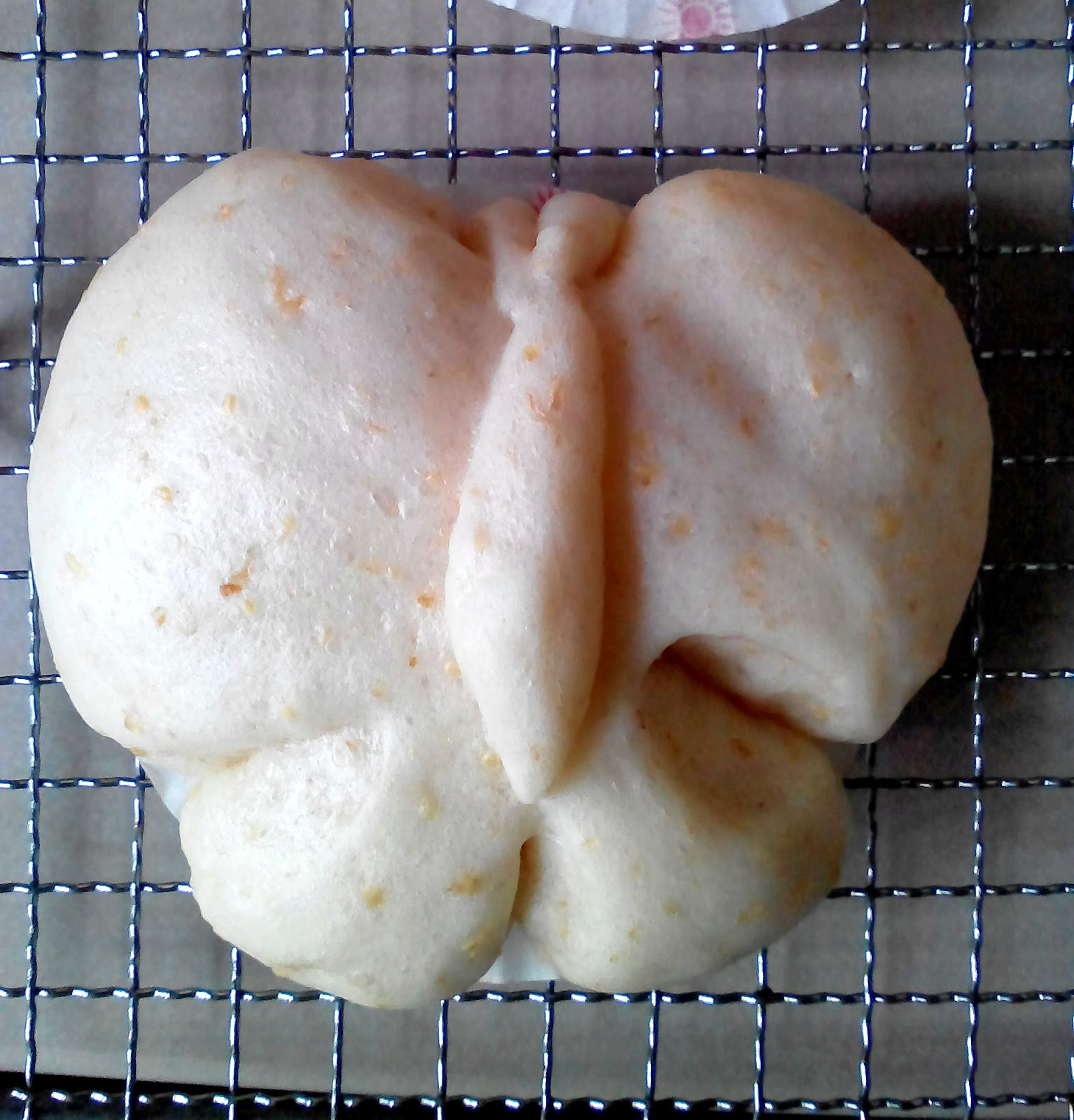 Jane Yee's food & life diaries: cute animal steamed buns for kids ...