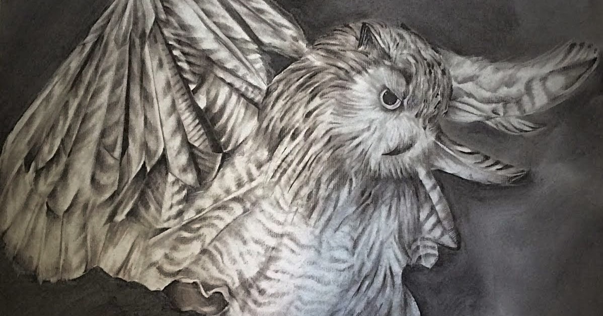 Flying Owl - Julia Pope