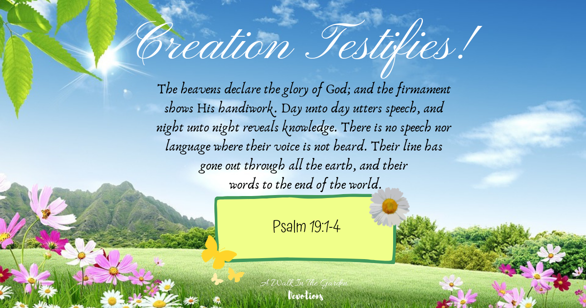 A Walk In The Garden: Creation Testifies