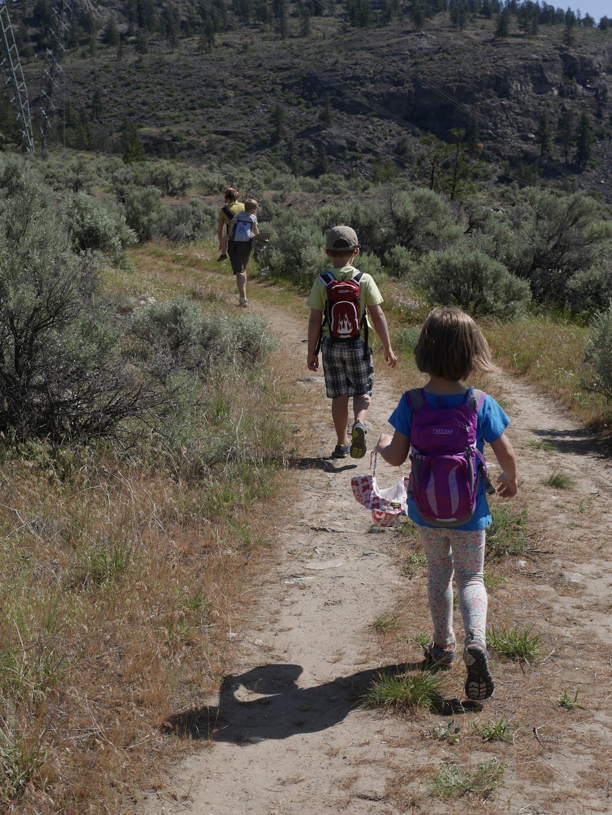 Hiking McIntyre Bluff – Backwoods Mama