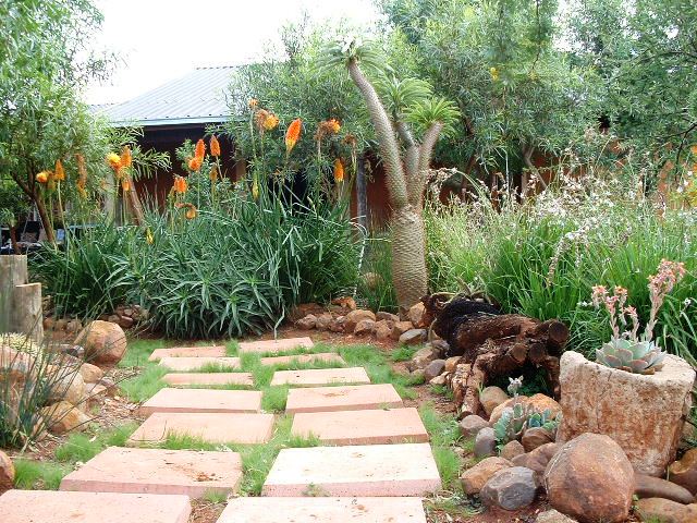 🌿 Tuinmaak in Suid Afrika 🌵: Eenvoudig en moeite vry