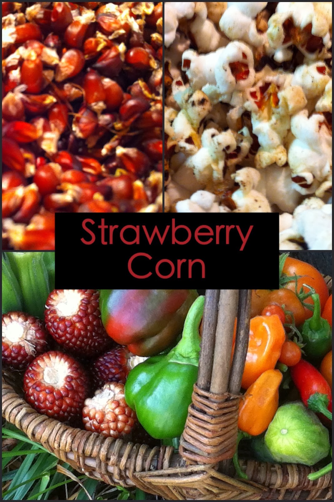 Garden Anywhere Box: Strawberry Corn
