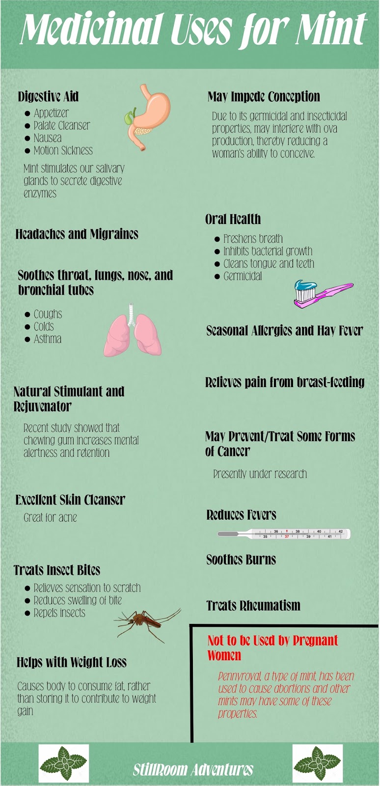 Mint: The Ultimate Guide