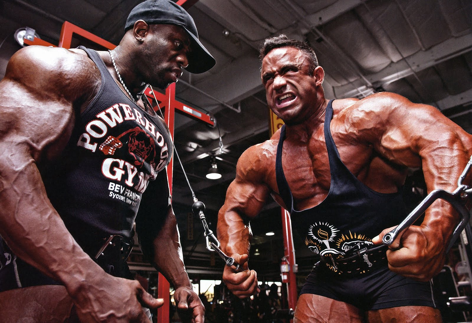MUSCLE ADDICTS INC: AMERICAN PRO BODYBUILDER PICTURE COLLECTION