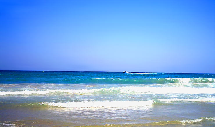 Días de aplomo: VERANO