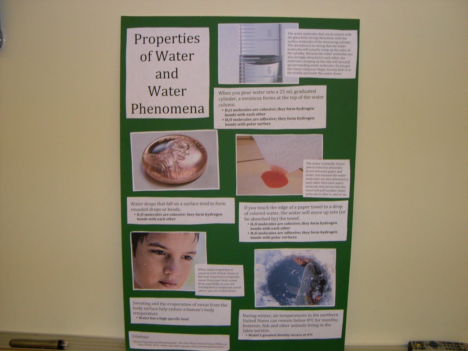 Bronxville AP Biology: Properties of Water Projects
