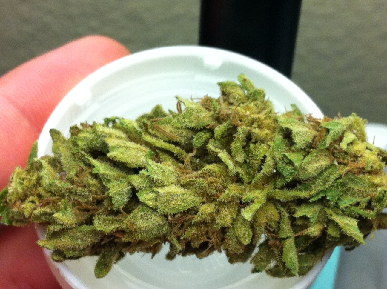 Stoney Boys Best Buds: Fruit Loops