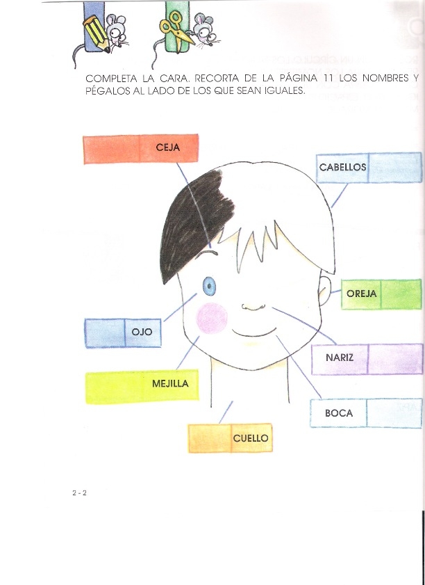 Dibujos de la cara y sus partes - Imagui