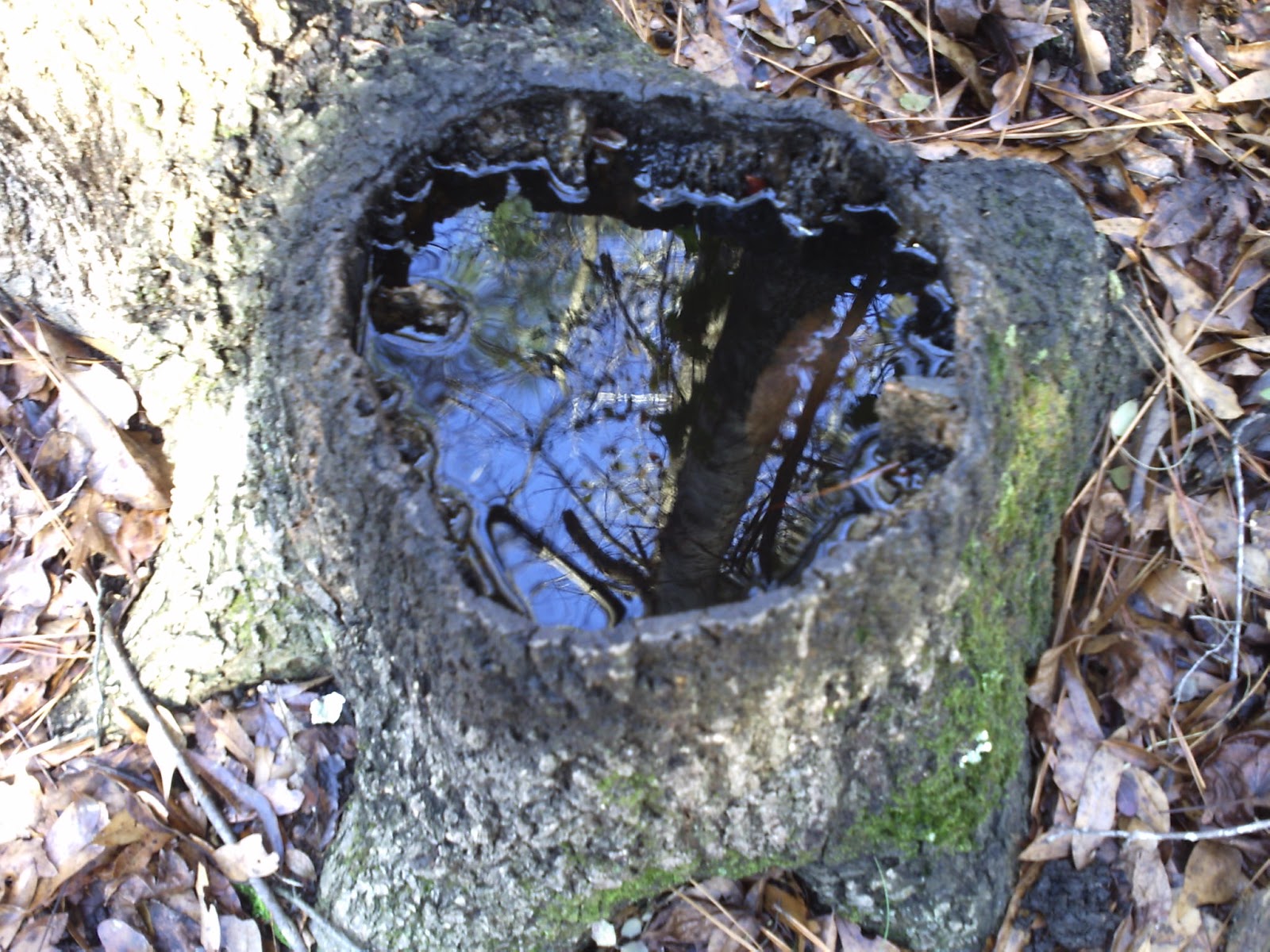 Contextual Studies: Scrying Divination Origins