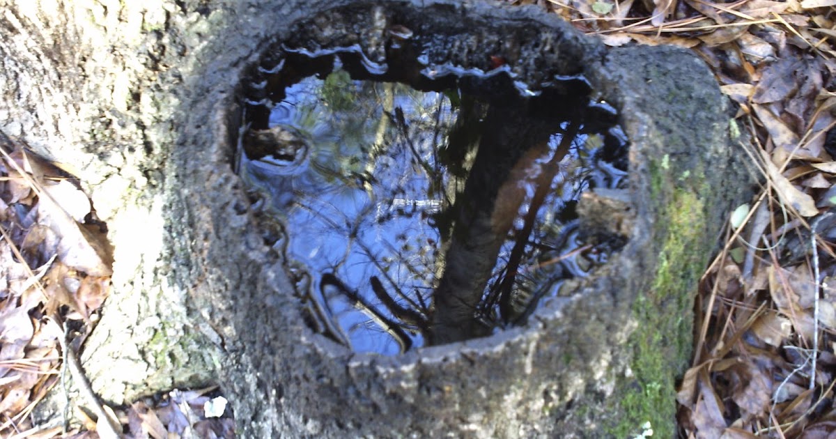 Contextual Studies: Scrying Divination Origins