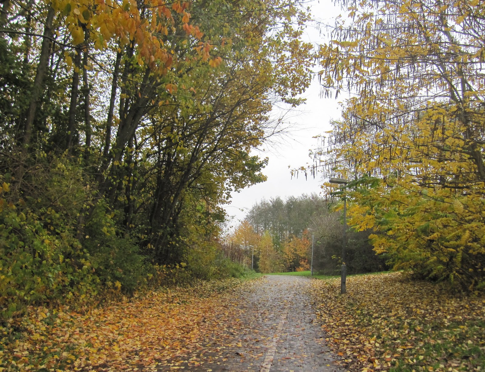 Oxie i världen: Översiktsplan och begivenheter, Oxiestuk