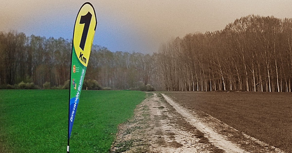 RUNNING BRIVIESCA: VI CROSS PALAZUELOS DE MUÑÓ. 1 ª CARRERA, CIRCUITO ...