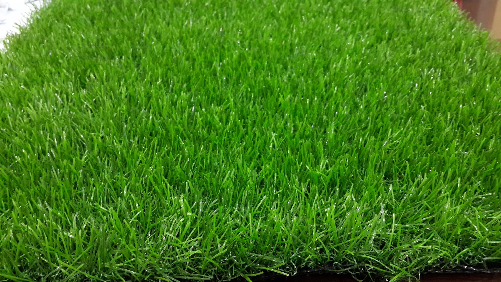 Rumput Lapangan Sepak Bola Wallpaper