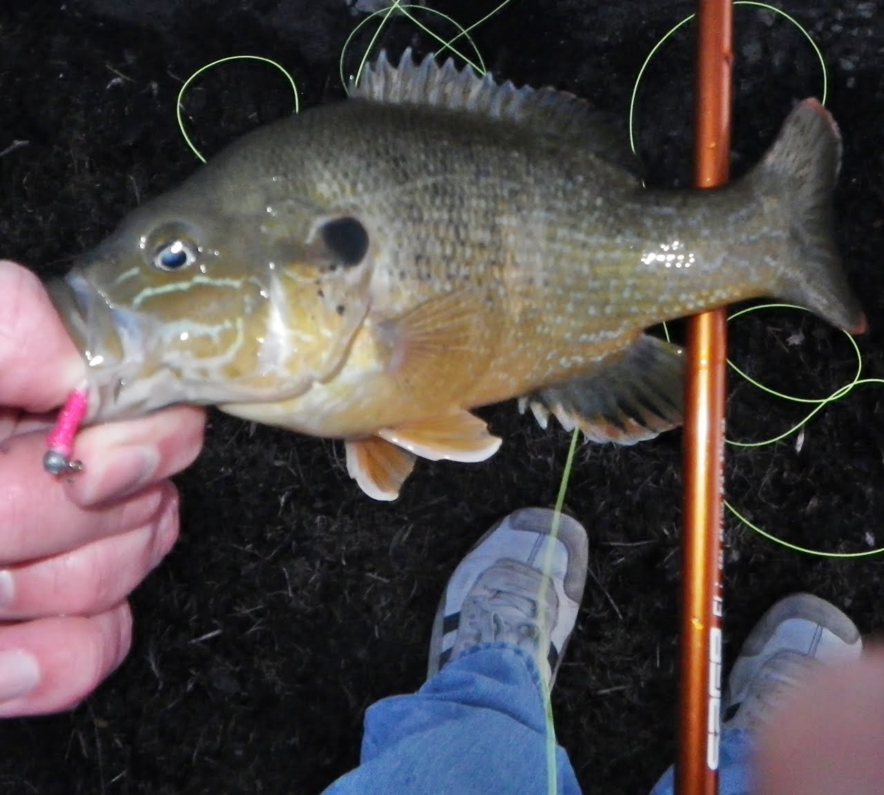 FishnDave: First Open-Water Fish of the Year