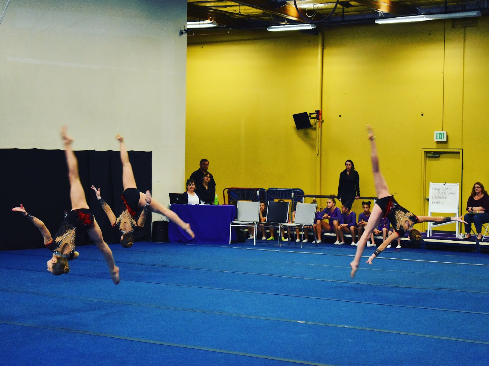 Sensory Overload: Acro Gymnastics Mock Meet (Flip Force)