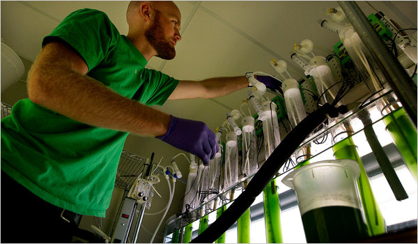 Ecopol Project - Portland State University: Exploring Algae as Fuel