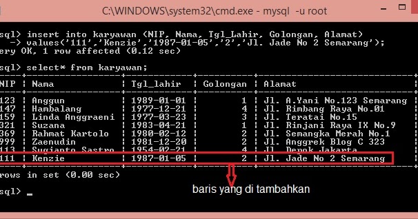 Belajar Membuat Database MySQL Menggunakan Command Prompt: Manipulasi Data