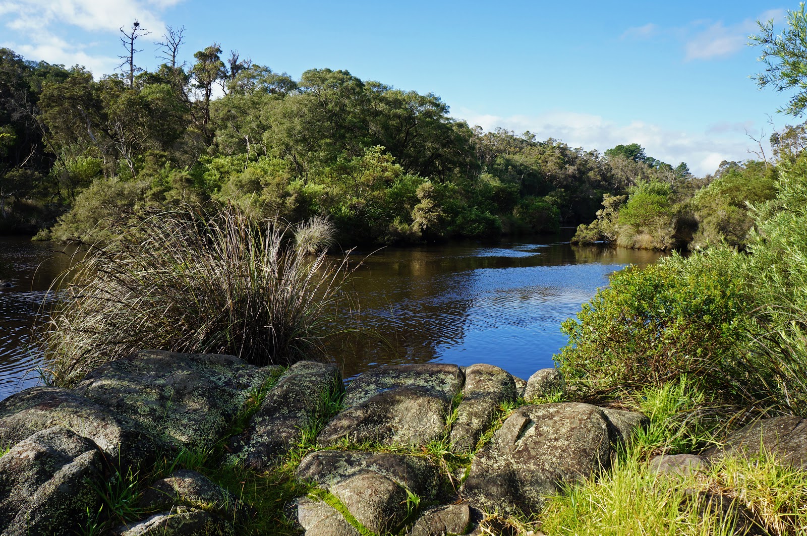 Luke Pen Walk (Kalgan River) ~ The Long Way's Better