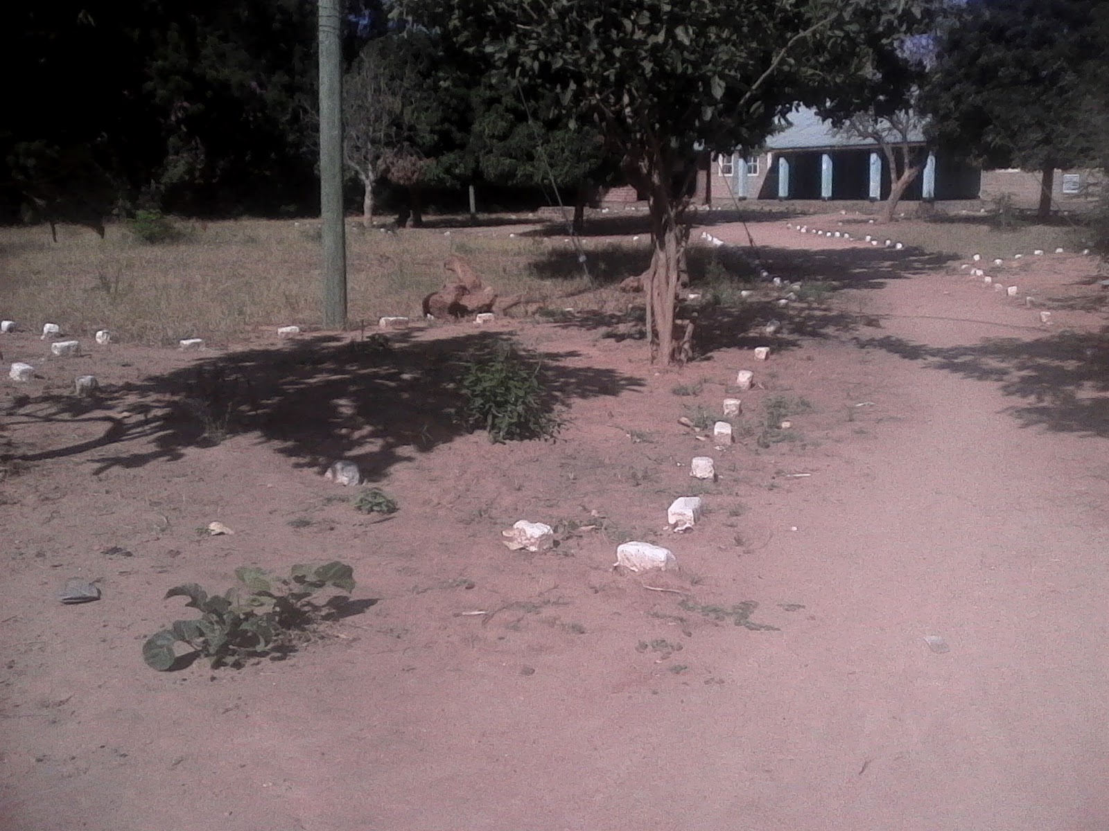 College Soroundings Photos | HOMBOLO TOURISM COLLEGE